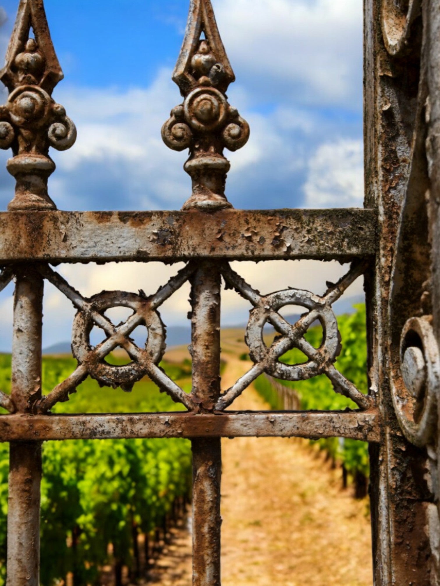 Our Story – Chabot Armagnac